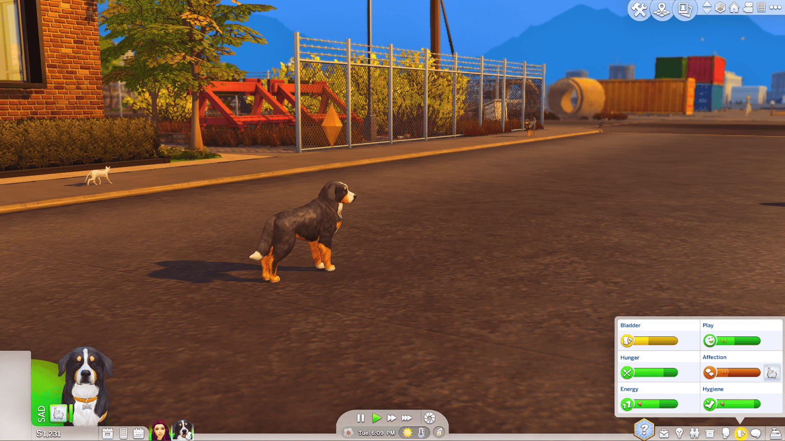 25+ Essential Sims 4 Pet Mods for More Fun & Realistic Pets - Must Have ...