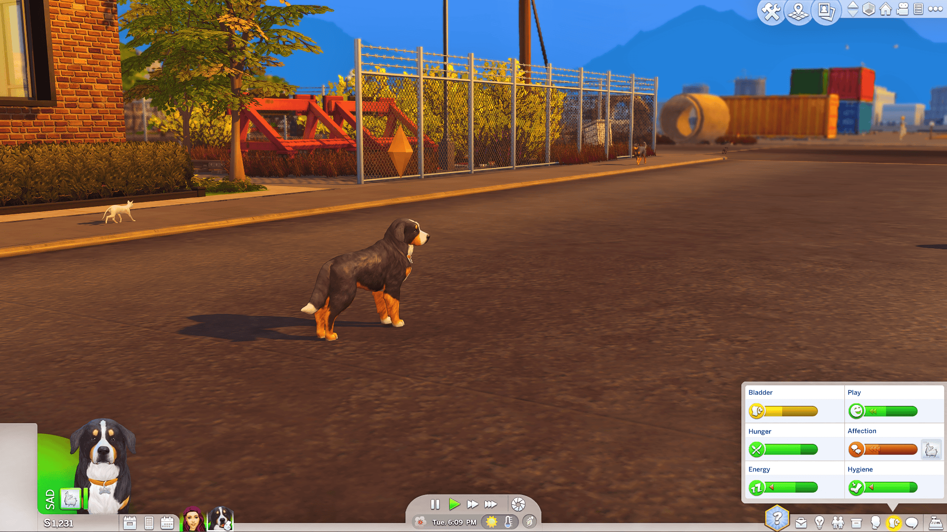 25+ Essential Sims 4 Pet Mods for More Fun & Realistic Pets - Must Have ...