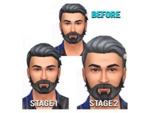 27+ Best Sims 4 Elder CC and Mods
